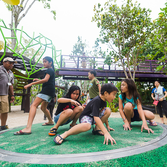 Playpoint - Gardens By The Bay